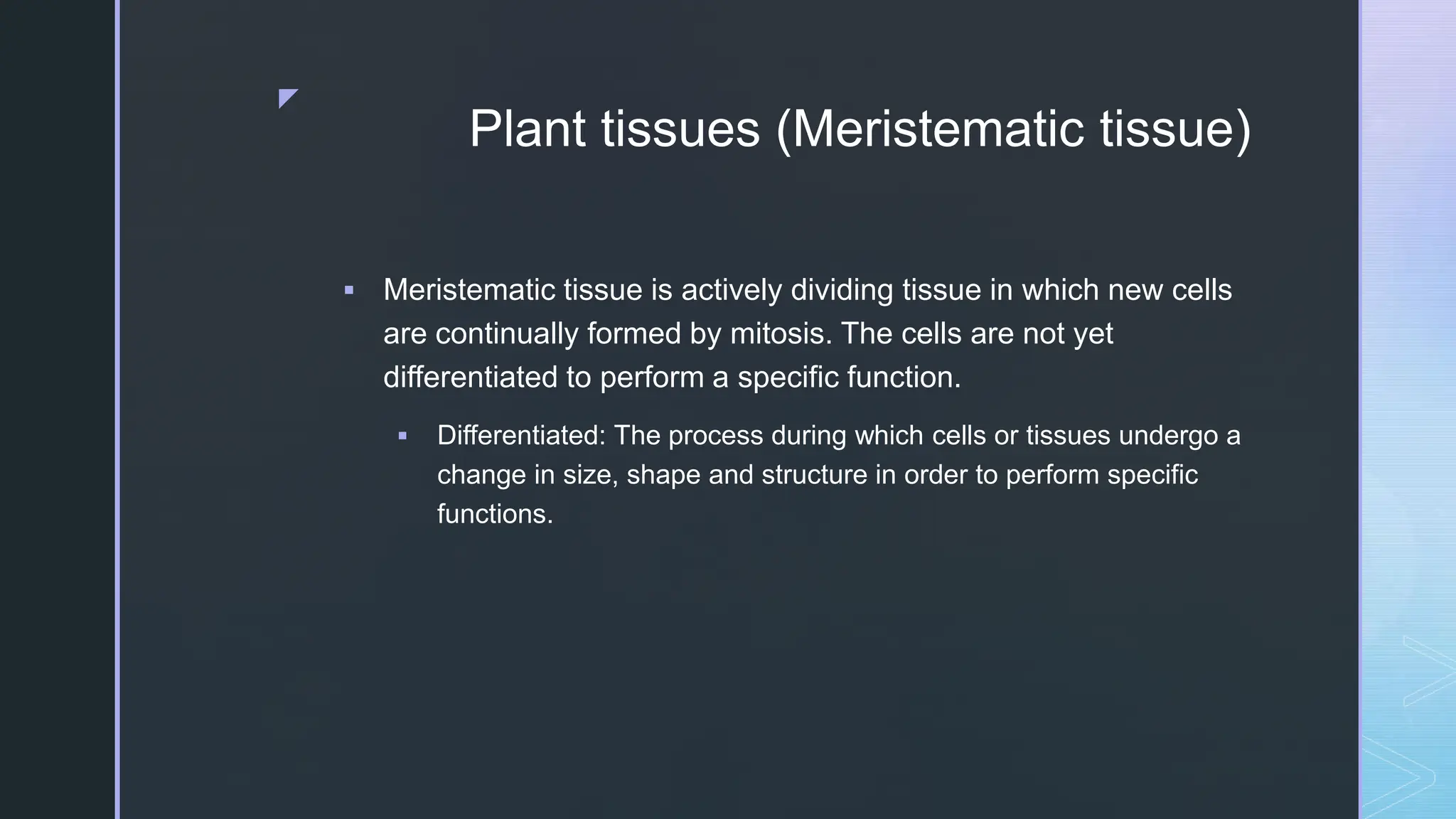Plant Tissues for Grade 10 Life Sciences | PPTX