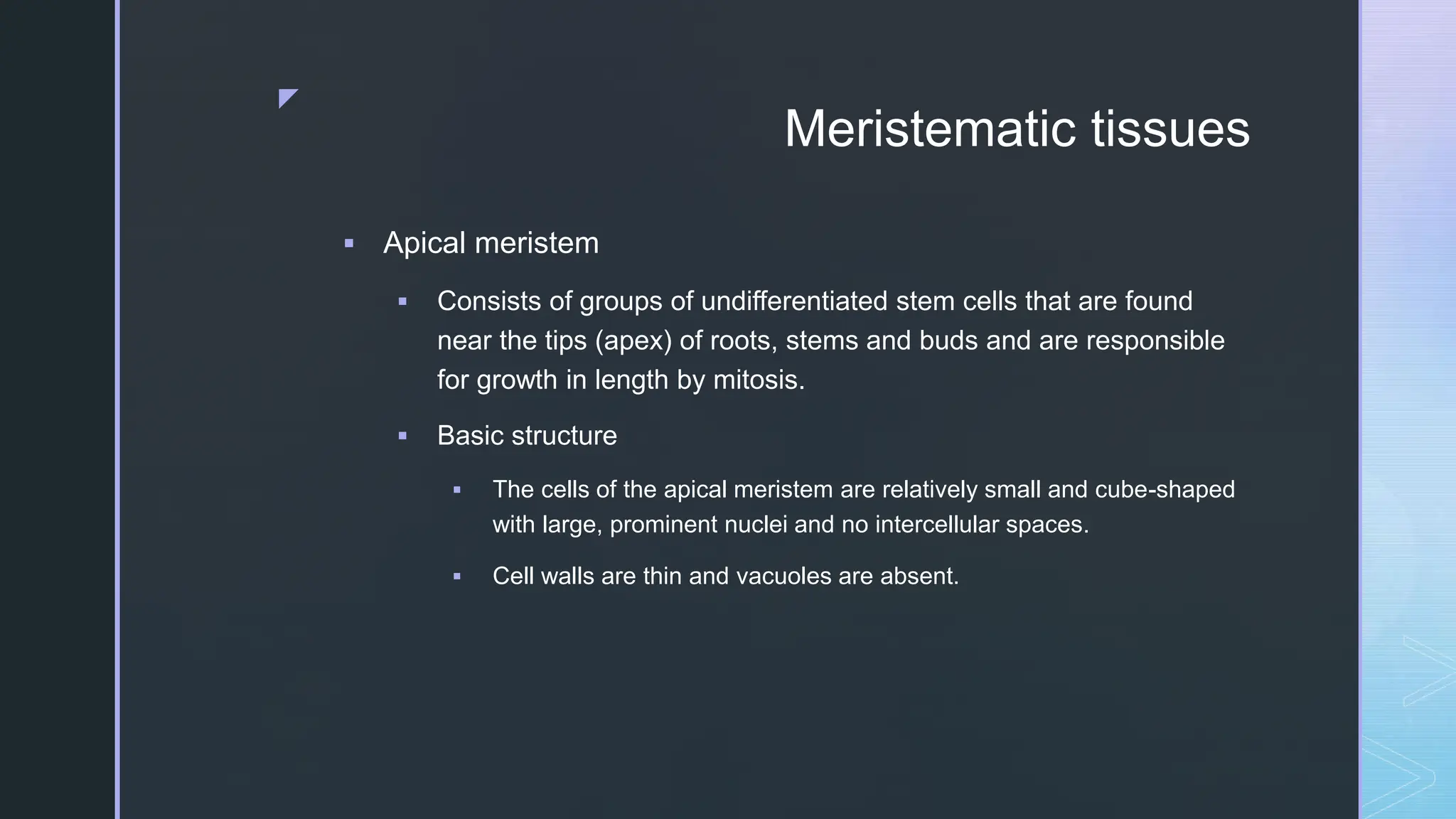 Plant Tissues for Grade 10 Life Sciences | PPTX
