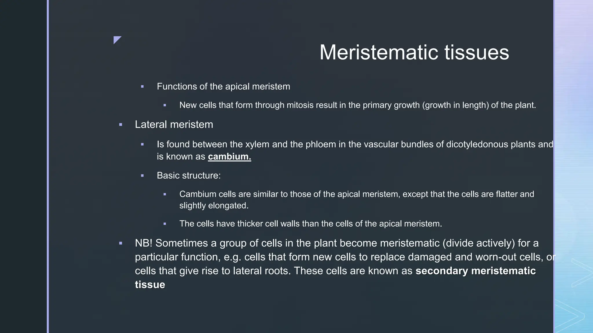 Plant Tissues for Grade 10 Life Sciences | PPTX