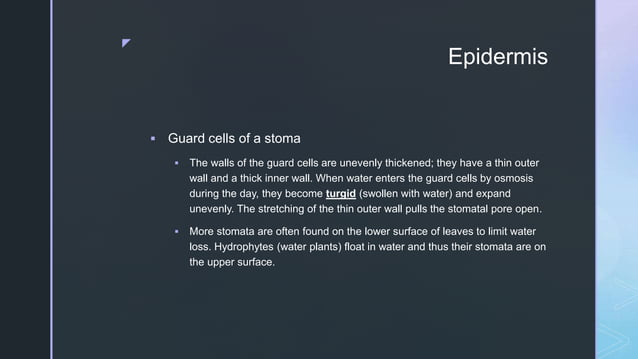 Plant Tissues for Grade 10 Life Sciences | PPTX | Skin and Dermatology ...