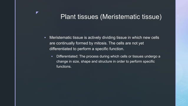 Plant Tissues for Grade 10 Life Sciences | PPTX | Skin and Dermatology ...