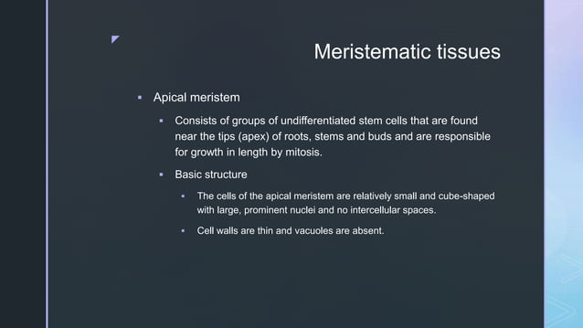 Plant Tissues for Grade 10 Life Sciences | PPTX | Skin and Dermatology ...