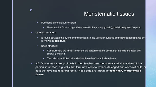 Plant Tissues for Grade 10 Life Sciences | PPTX | Skin and Dermatology ...