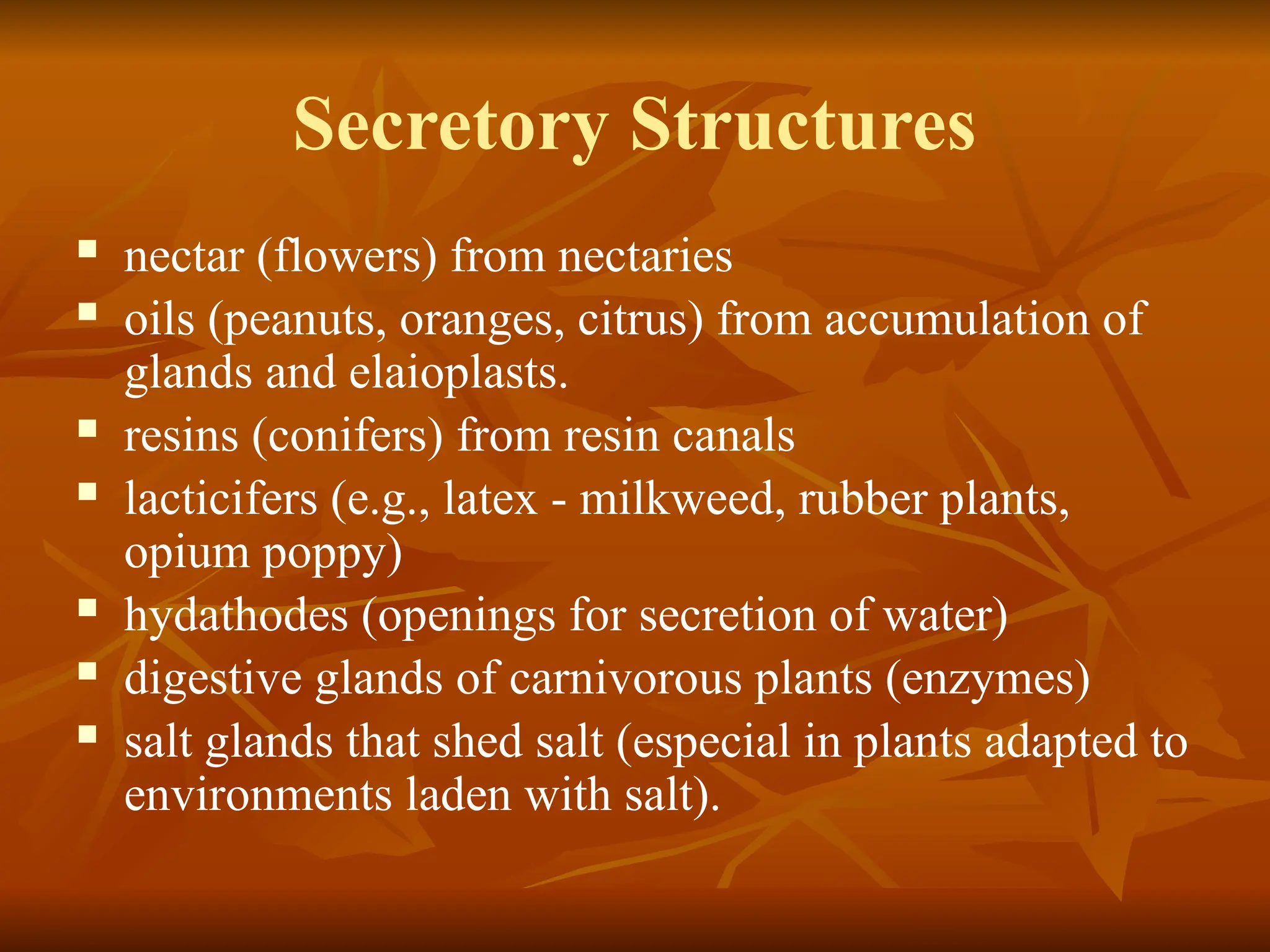 Plant Tissues_Plant Tissues_Plant Tissue | PPTX