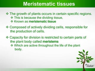 Planttissues by pooja 1 | PPTX