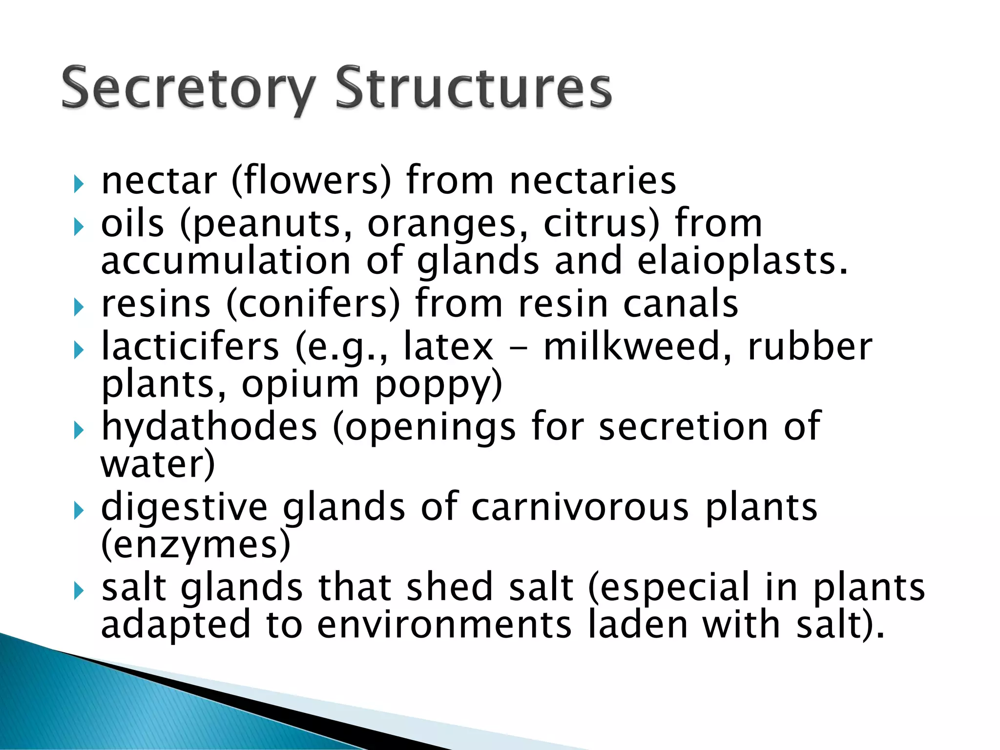 Plant tissues | PDF