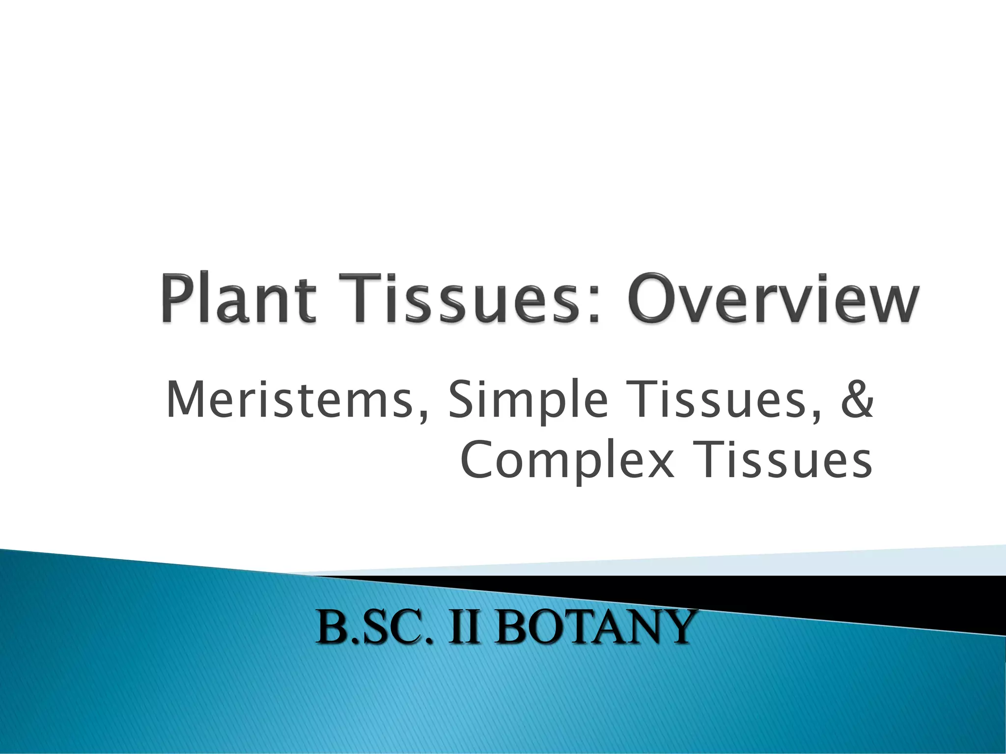 Plant tissues | PDF