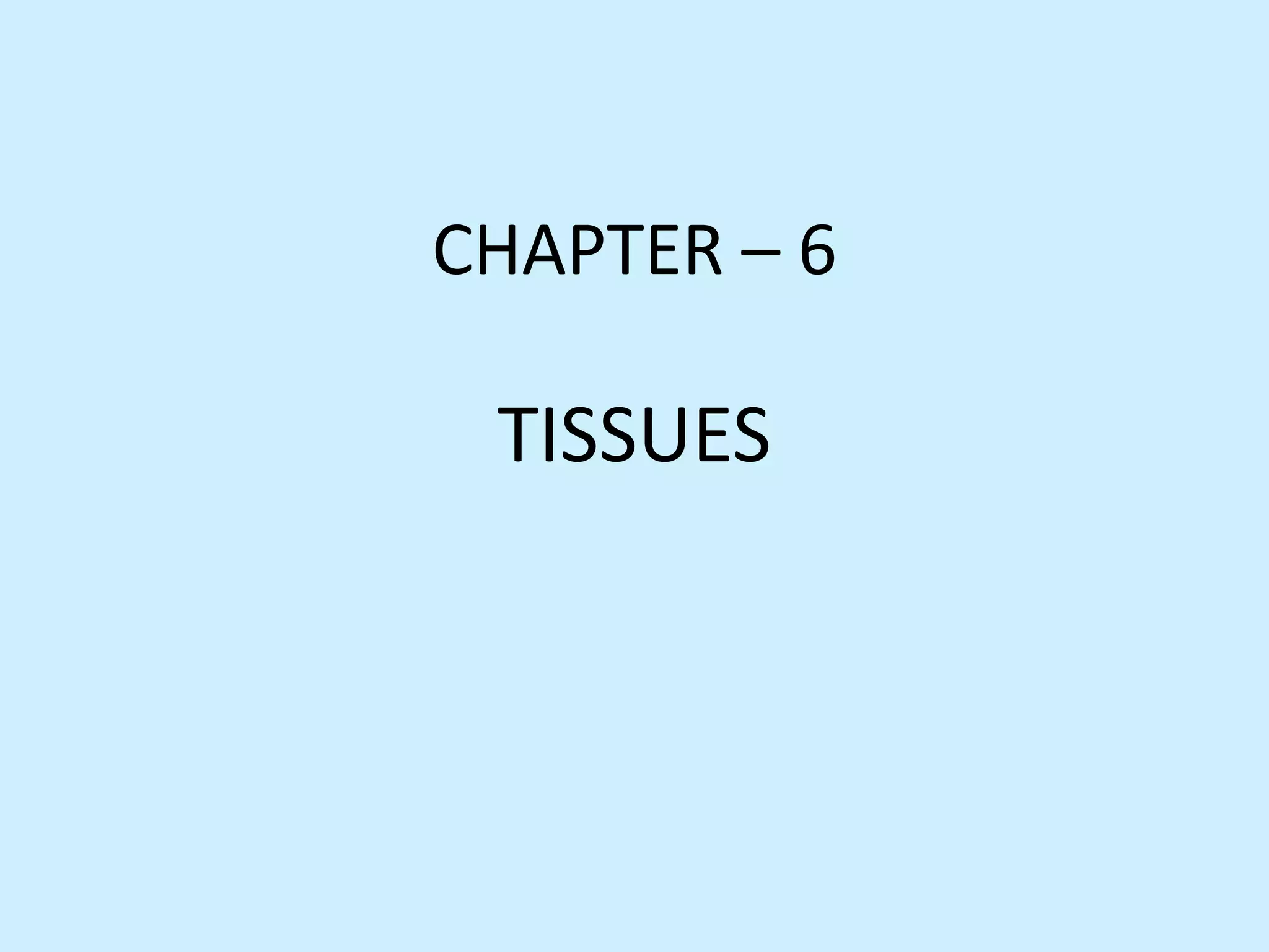 Plant tissues, 9 cbse | PPTX