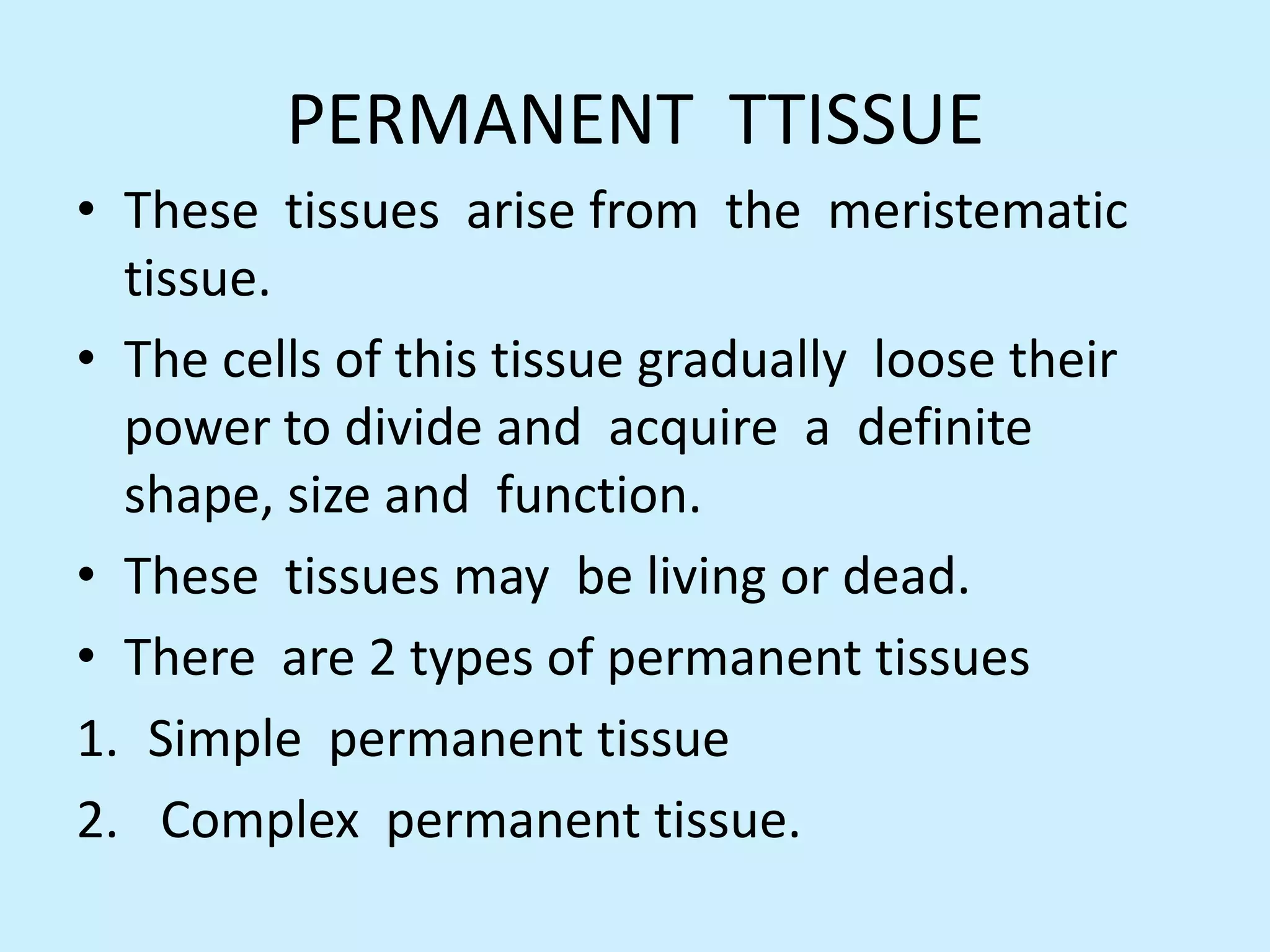 Plant tissues, 9 cbse | PPTX