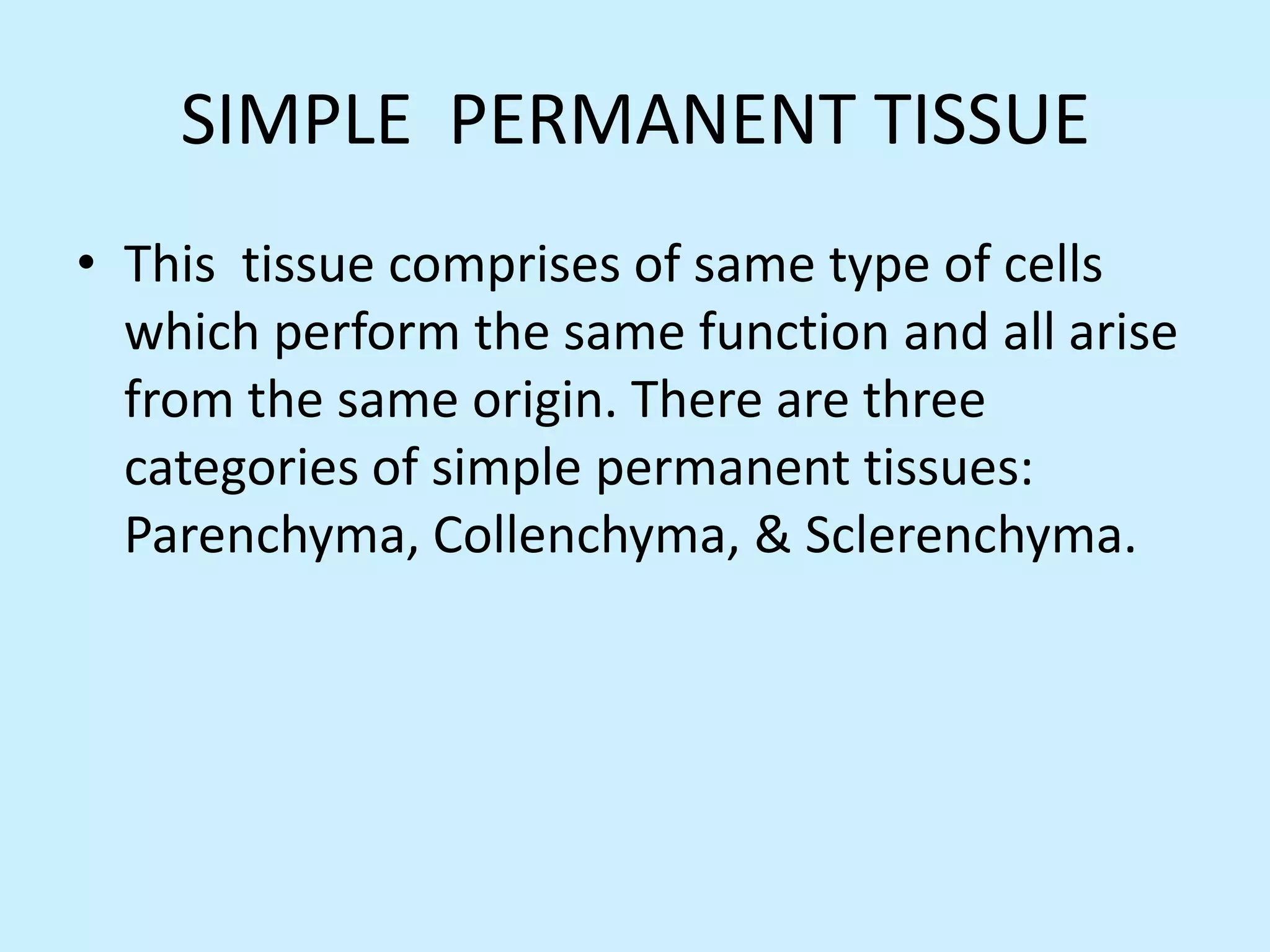 Plant tissues, 9 cbse | PPTX