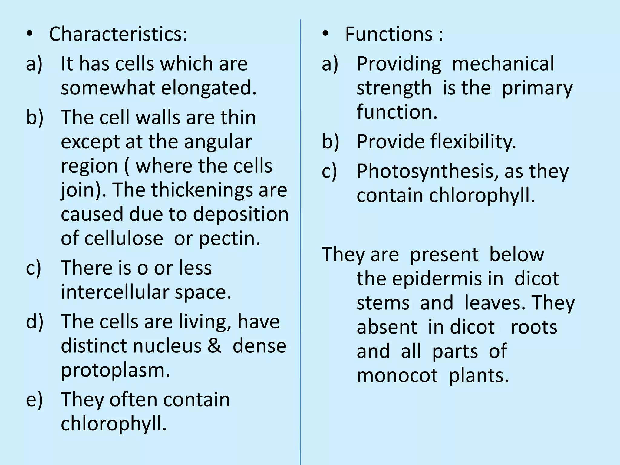 Plant tissues, 9 cbse | PPTX