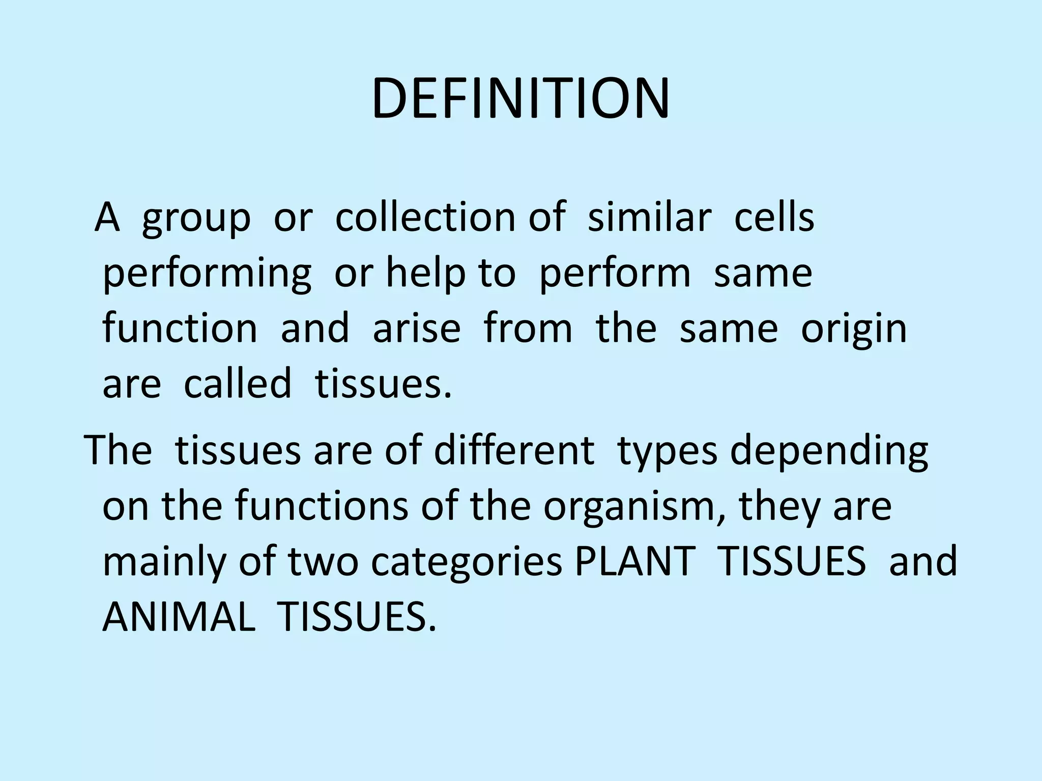 Plant tissues, 9 cbse | PPTX