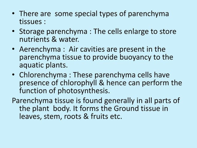 Plant tissues, 9 cbse | PPTX