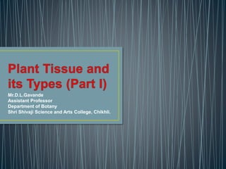 Plant tissues and its types (part I) | PPTX
