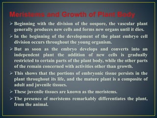Plant tissues and its types (part I) | PPTX