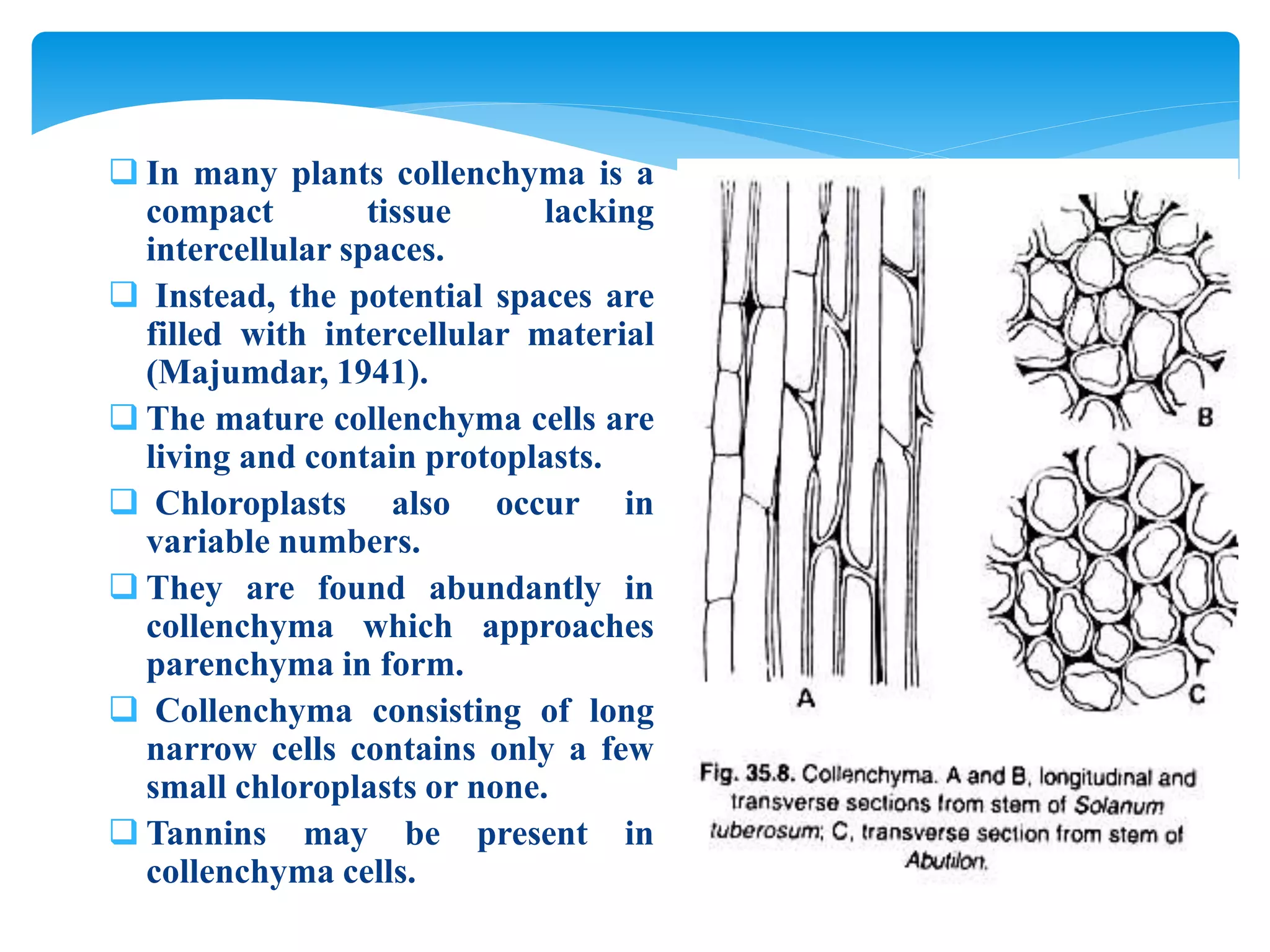 Plant tissues and its types (part II) | PPTX