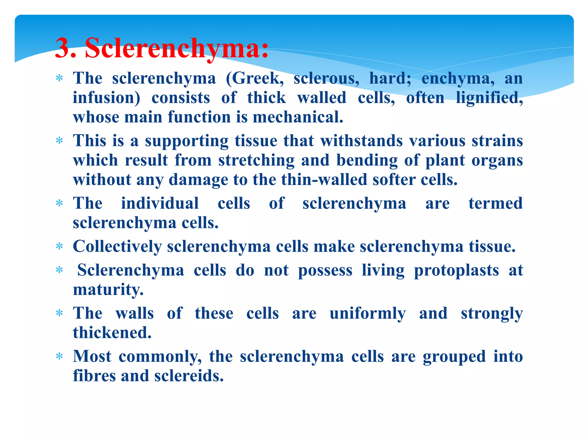 Plant tissues and its types (part II) | PPTX