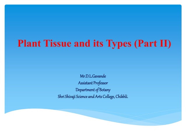 Plant tissues and its types (part II) | PPTX | Biological Sciences ...