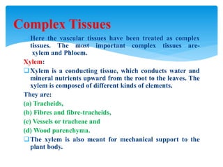 Plant tissues and its types (part II) | PPTX