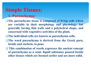 Plant tissues and its types (part II) | PPTX