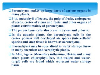 Plant tissues and its types (part II) | PPTX
