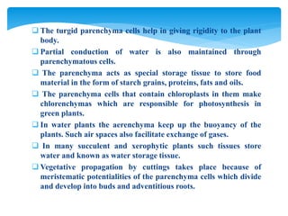 Plant tissues and its types (part II) | PPTX