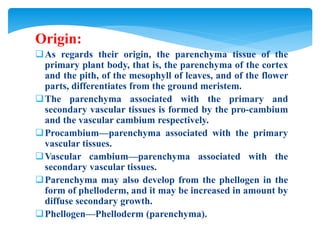 Plant tissues and its types (part II) | PPTX