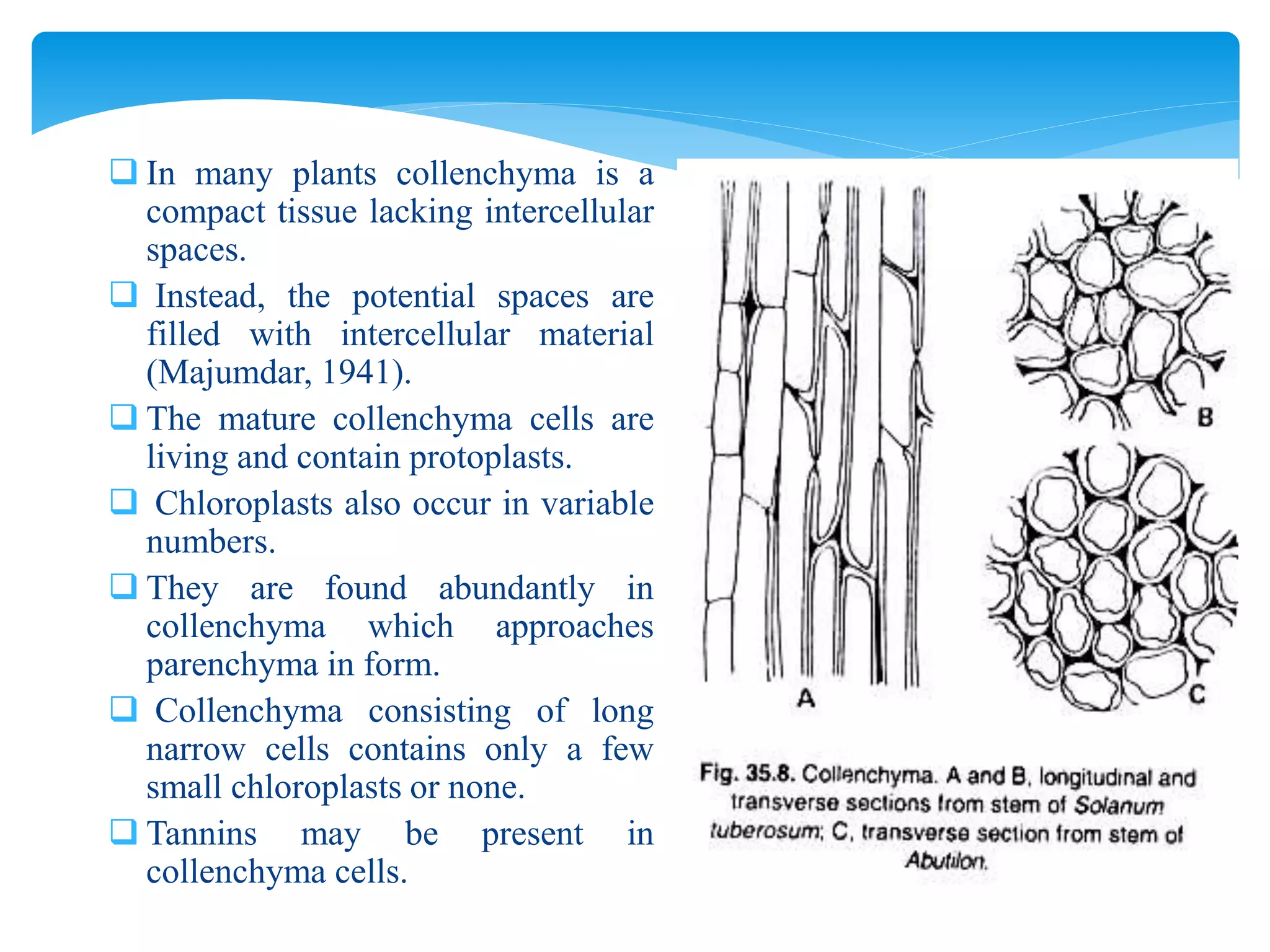 Plant Tissues and its Type Part II.pptx
