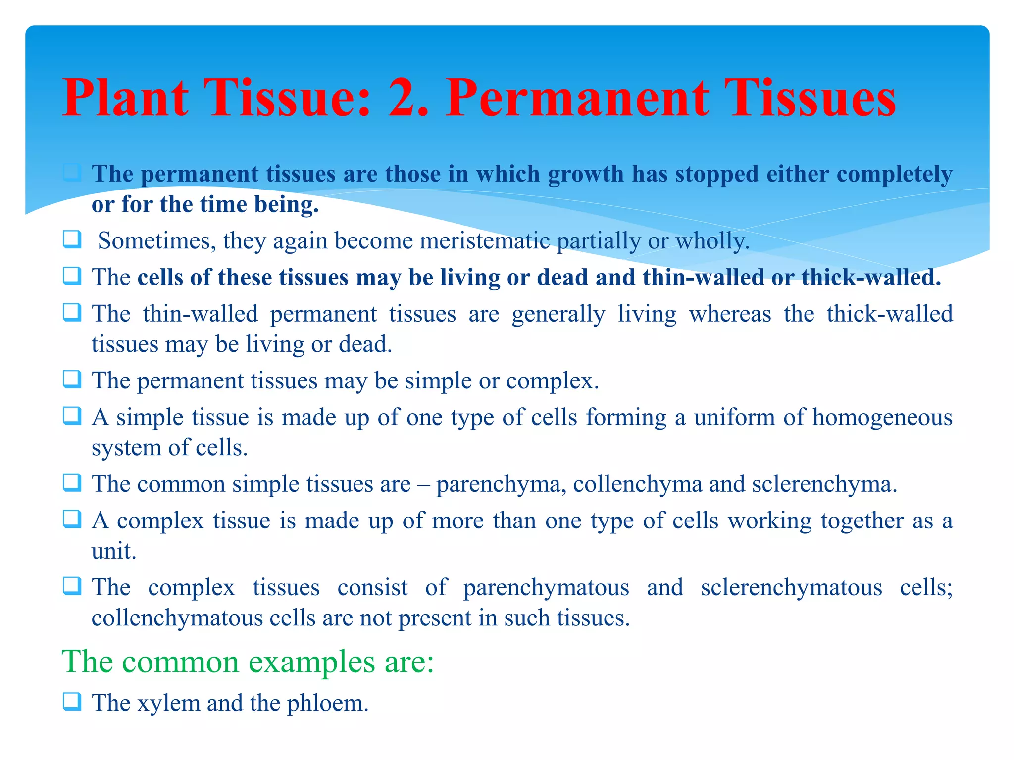 Plant Tissues and its Type Part II.pptx