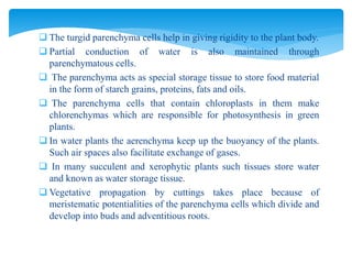 Plant Tissues and its Type Part II.pptx