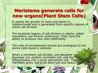 Plant tissues and organs | PPT