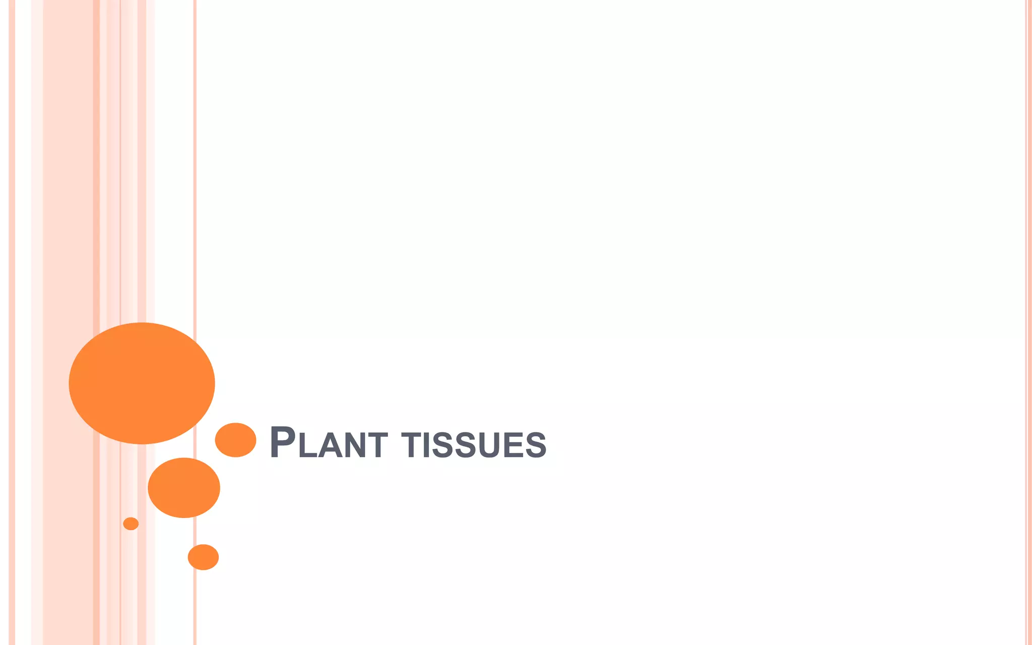 STPM Form 6 Biology Plant Tissues and Organs | PPTX