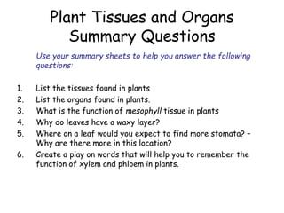 Plant Tissues and Organs.ppt