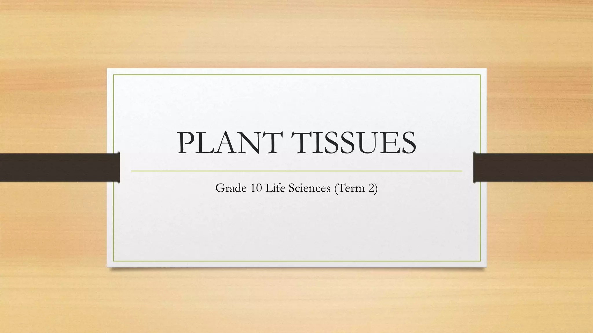PLANT TISSUES grd10E.pptx