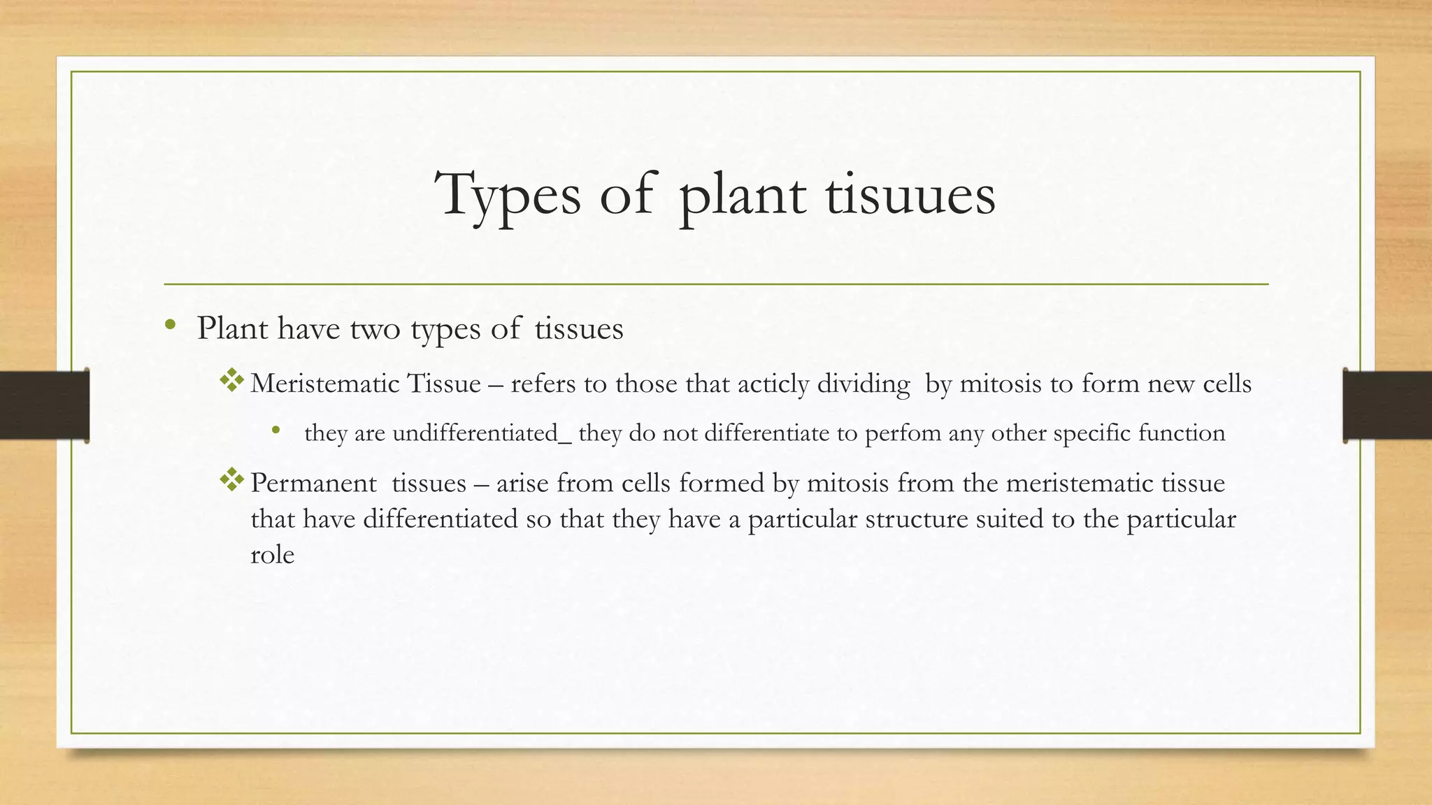 PLANT TISSUES grd10E.pptx