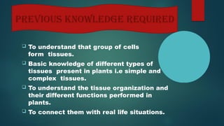 Plant tissues including meristematic tissue and permanent tissue | PPTX