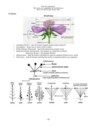 Plant tissues & organs | PDF