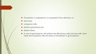 Plant tissues (part ii) copy | PPTX