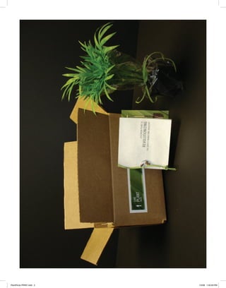 Plant tour | PDF