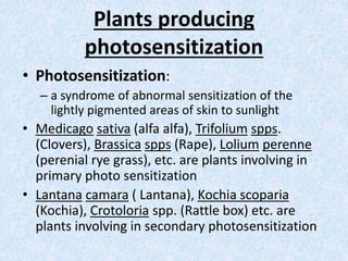 Plant toxin | PPTX