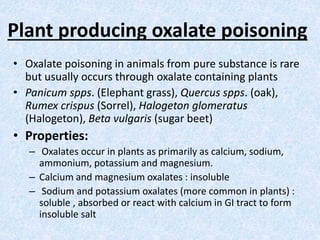 Plant toxin | PPTX