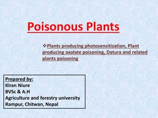 Plant toxin | PPT