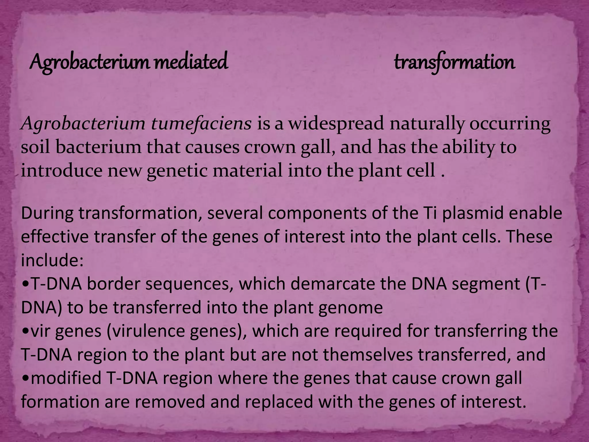 Plant transformaation technology, all techniques | PPTX