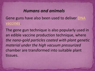 Plant transformaation technology, all techniques | PPTX