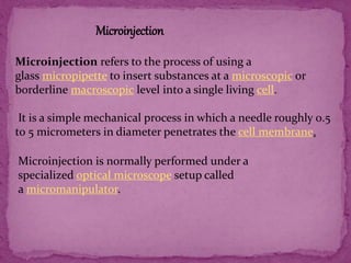 Plant transformaation technology, all techniques | PPTX