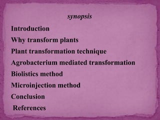 Plant transformaation technology, all techniques | PPTX