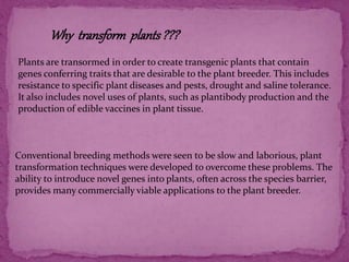 Plant transformaation technology, all techniques | PPTX