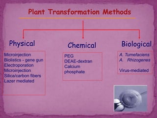 Plant transformaation technology, all techniques | PPTX