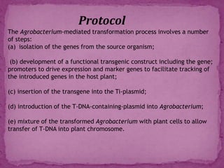 Plant transformaation technology, all techniques | PPTX