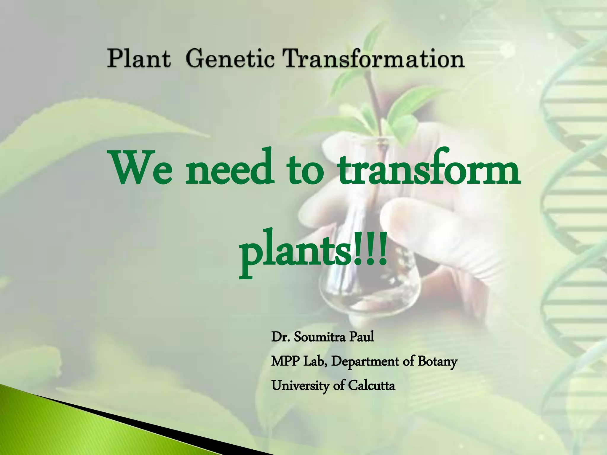 Plant transformation | PPTX